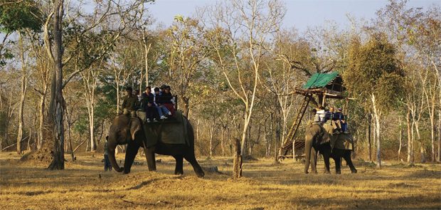 Wildlife-spotting in Karnataka - ANOKHI LIFE